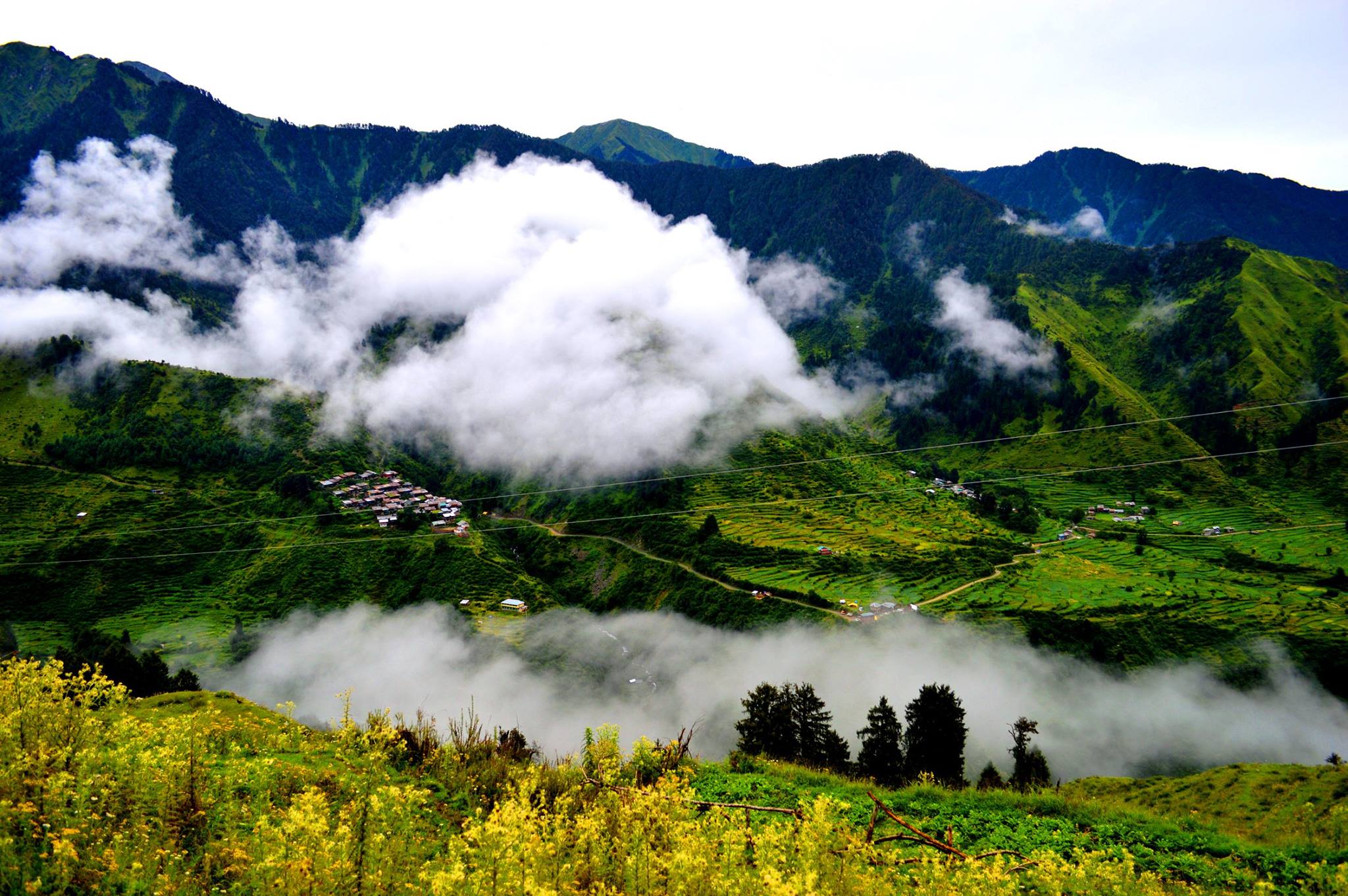 Rajgundha Camping: Barot | Incredible Himachal | Hill Gypsy